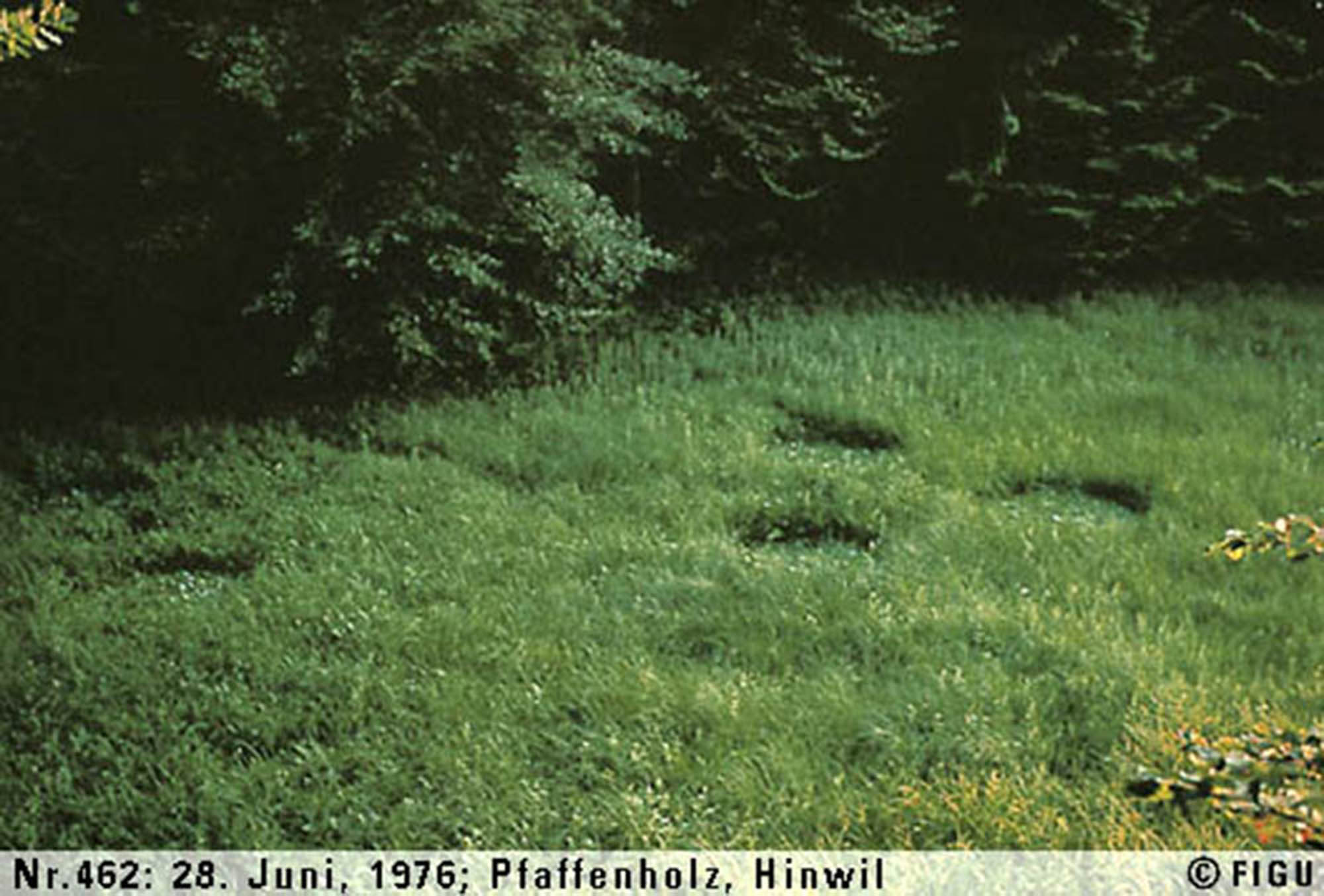 Saalome – Billy Eduard Albert Meier￤Contact Report￤FIGU￤Peace ...